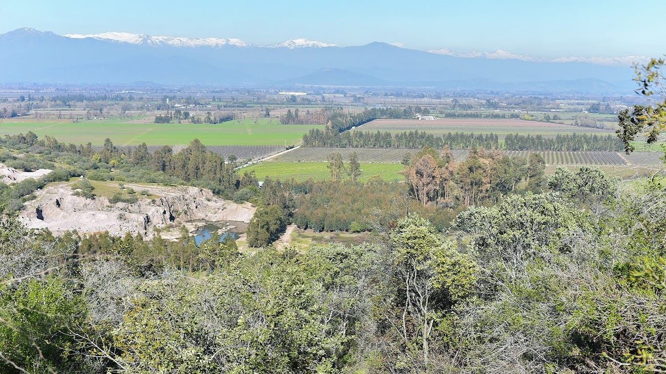 Proyecto Reserva Chimbarongo